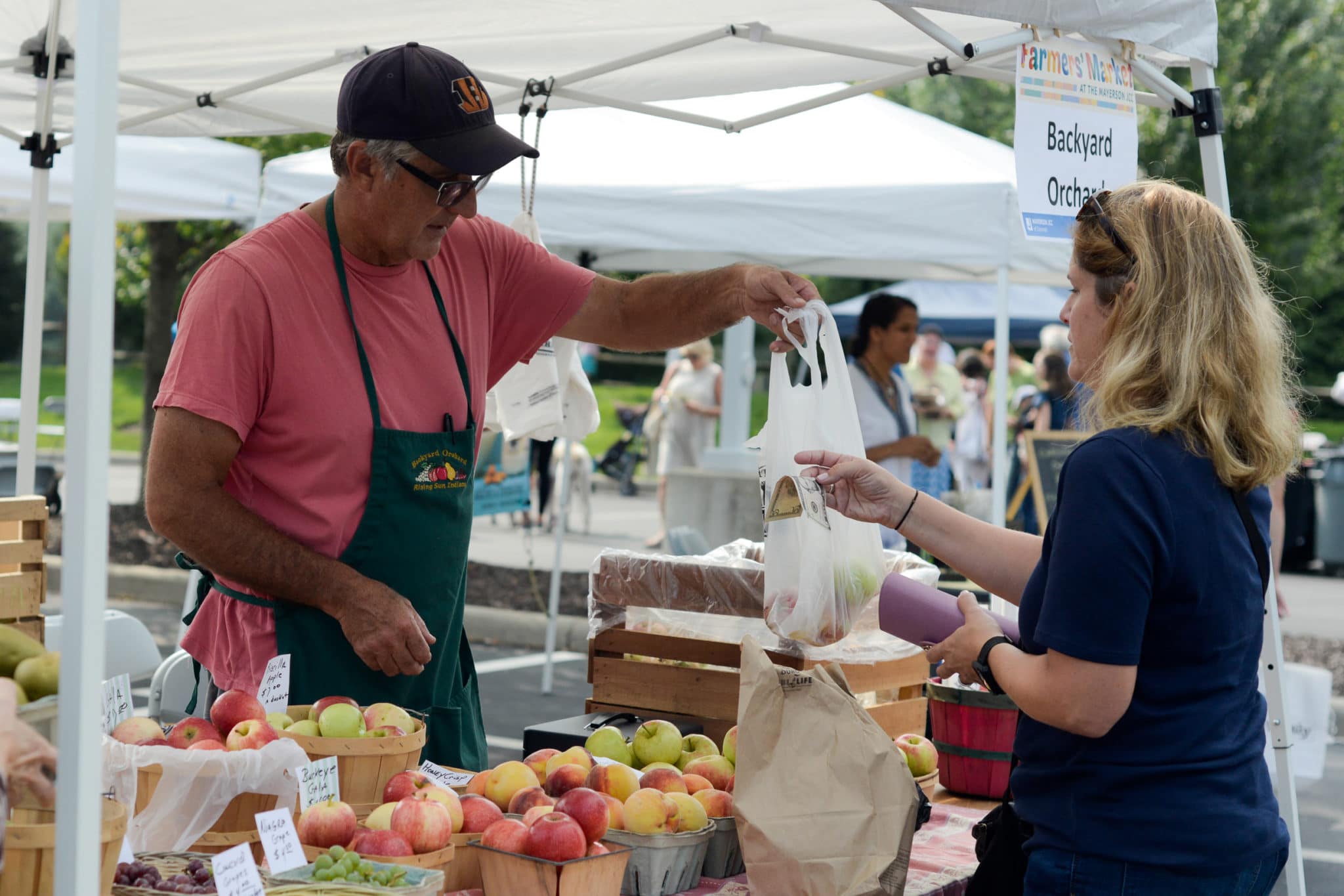 JCC Fall Market Offers Apples and Honey, and So Much More - Mayerson JCC